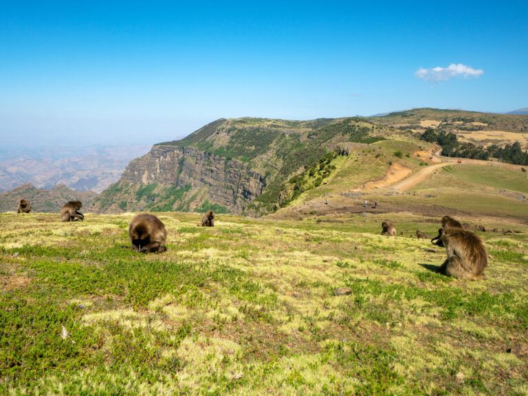 4 Surprising Places Everyone Is Traveling to in 2026 - Daily Passport
