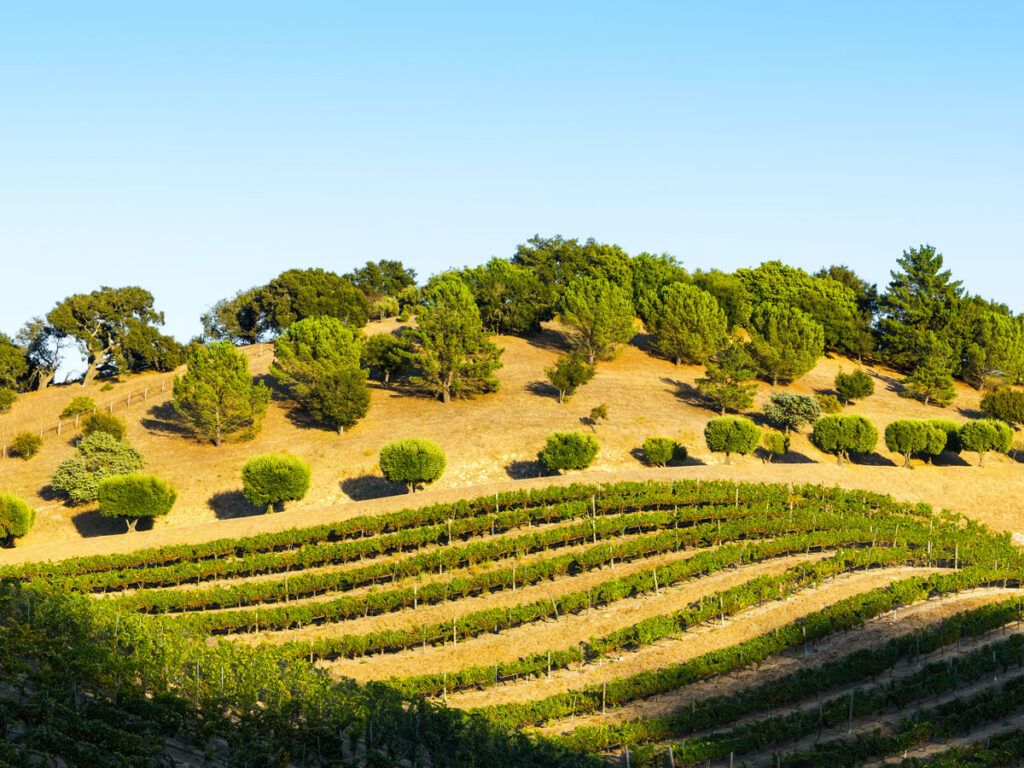 6 of the Prettiest Small Towns in California - Daily Passport
