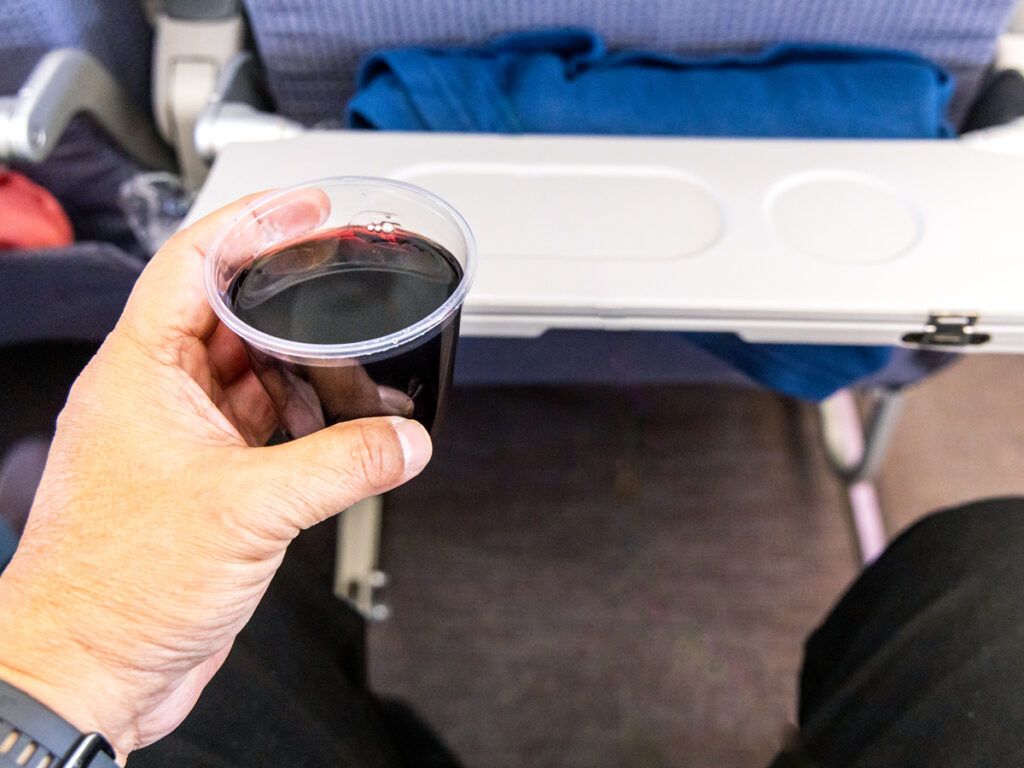 5 Reasons Airlines Can Put You on Their No-Fly Lists - Daily Passport